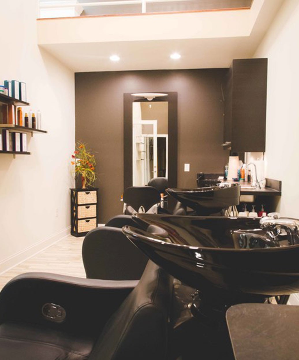 Lexus Backwash Unit: European Style Shampoo Backwash