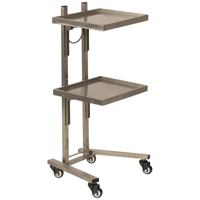 Helix Gold Stainless Steel Tray / Trolley with Gold Finish for Salons ...