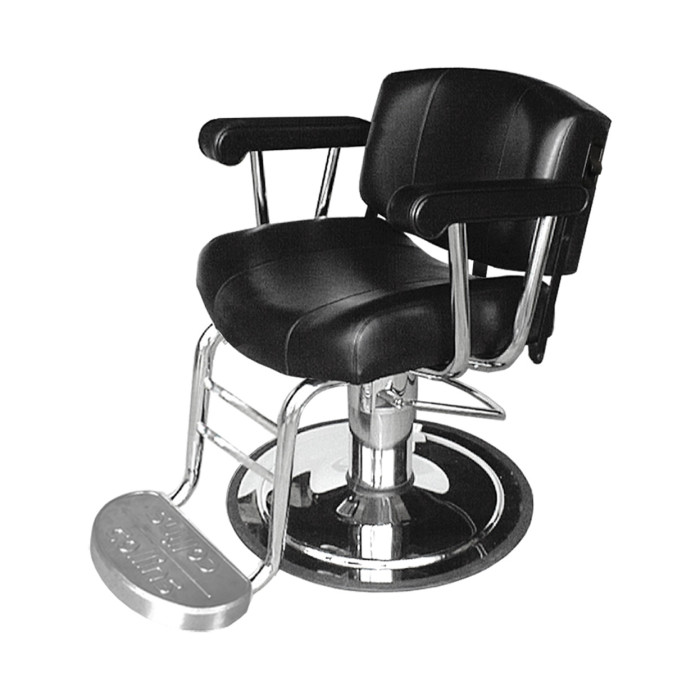 Icon All-Purpose Salon Styling Chair with Spring-Loaded Reclining Back ...