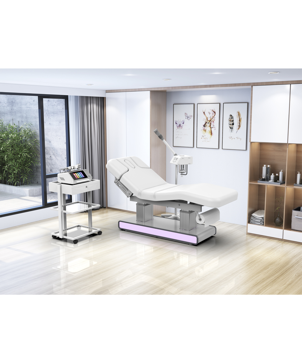 Silver Fox 2275 Electric Massage & Spa Table | Buy-Rite Beauty